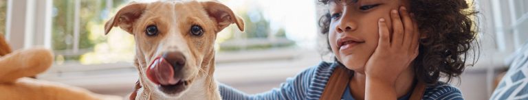 Discover Convenience With Safe 1 Credit Union Online Banking