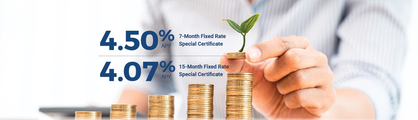 Access everything with Safe 1 Credit Union online banking